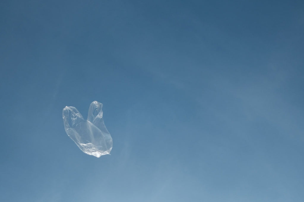 How Toxins Impact Our Health and What We Can Do – BePure Product Jonty